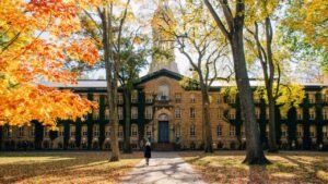 2025 AP Score Distributions: AP Exam Score Rates by Subject